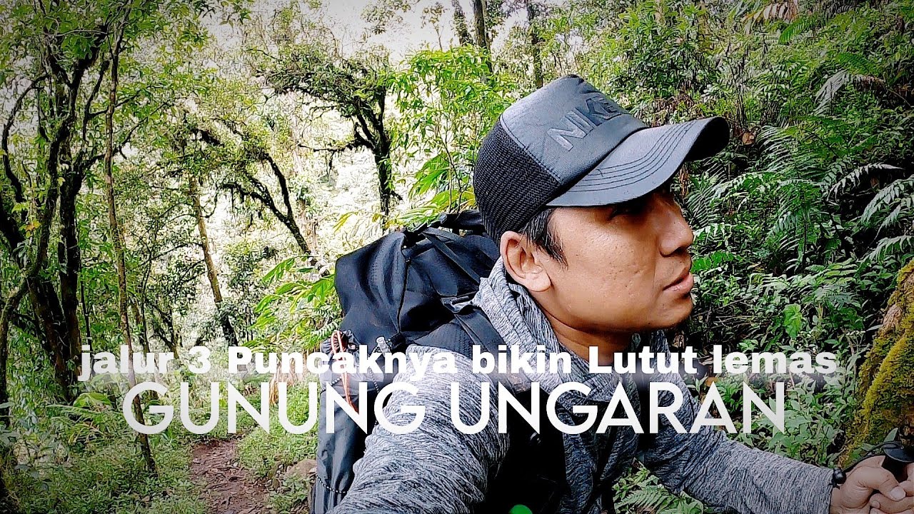 VLOG PENDAKIAN GUNUNG UNGARAN TIGA PUNCAK @juwartoandfriends198 - YouTube
