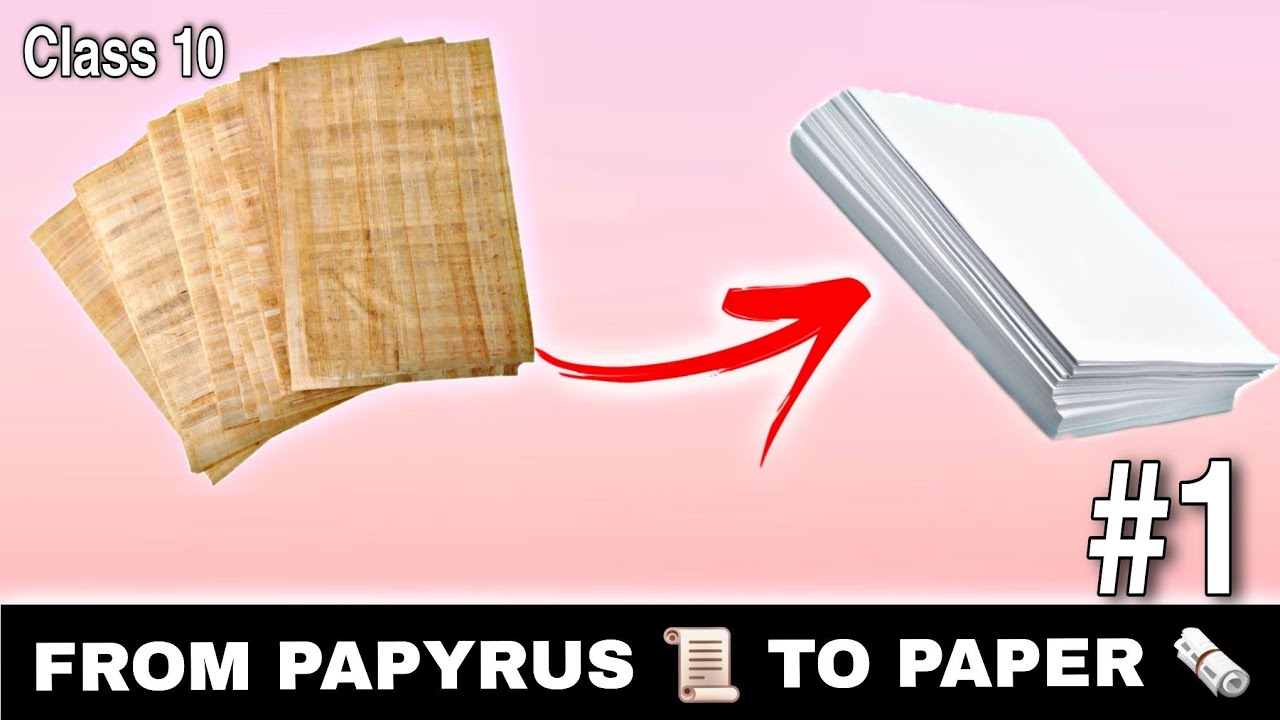 From Papyrus To Paper |UNSEEN PASSAGE of BBC compacta Module-1, CA-1 # ...