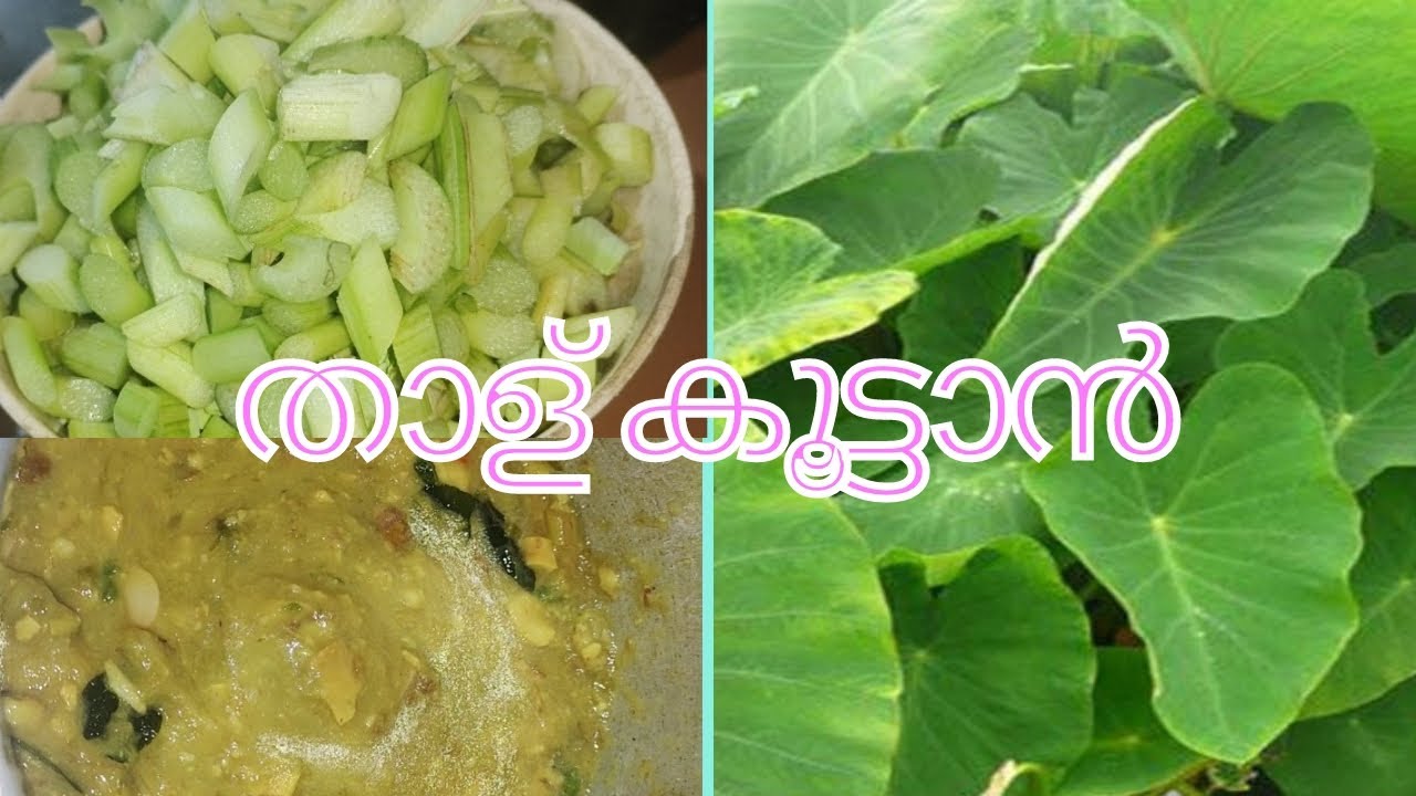 item no:2 - താള് കൂട്ടാൻ😍/കർക്കിടക സ്പെഷ്യൽ റെസിപ്പി#malayalam #food # ...