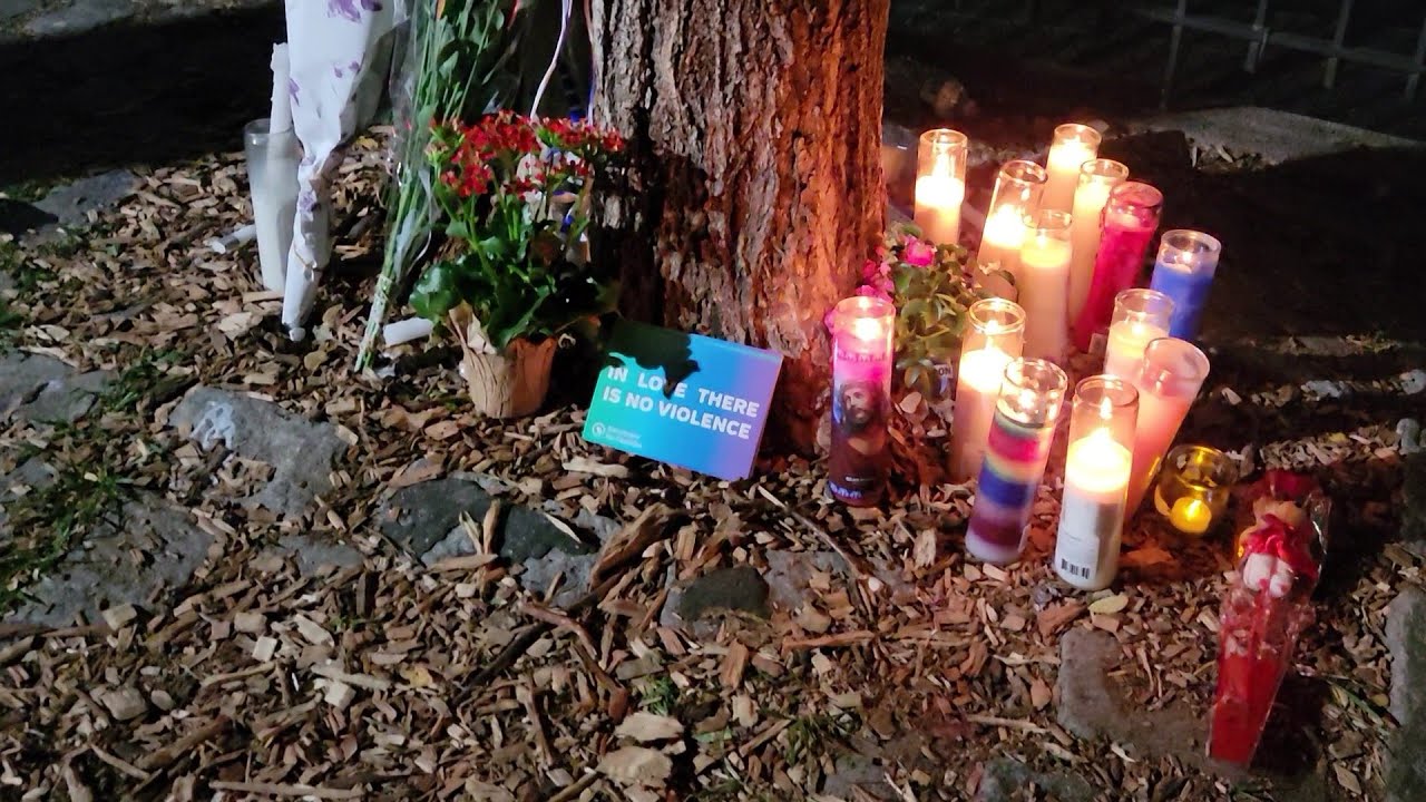 Justice For Azsia Johnson And Her 3 Month Old Child [30 June, 2022 ...