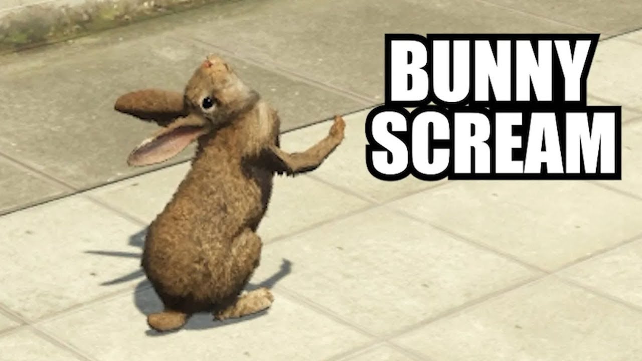 Bunny Compilation (w/ Tapperson) - YouTube