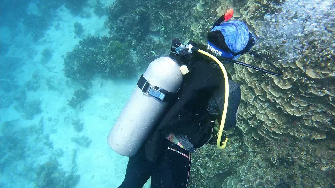 University of Guam Marine Lab: The Search for Giant Clams - YouTube