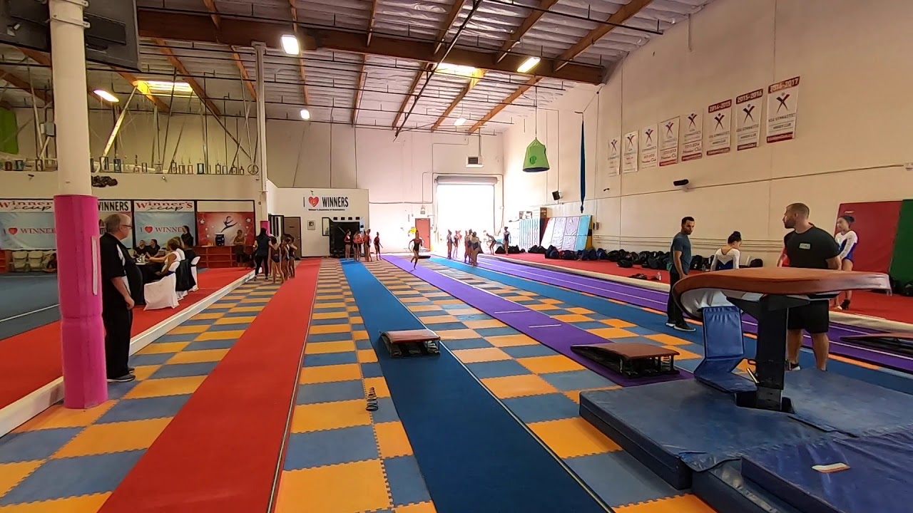 Reese Hogan 2nd Place Vault Winner's Invite 2019 Wildfire Gymnast Level ...