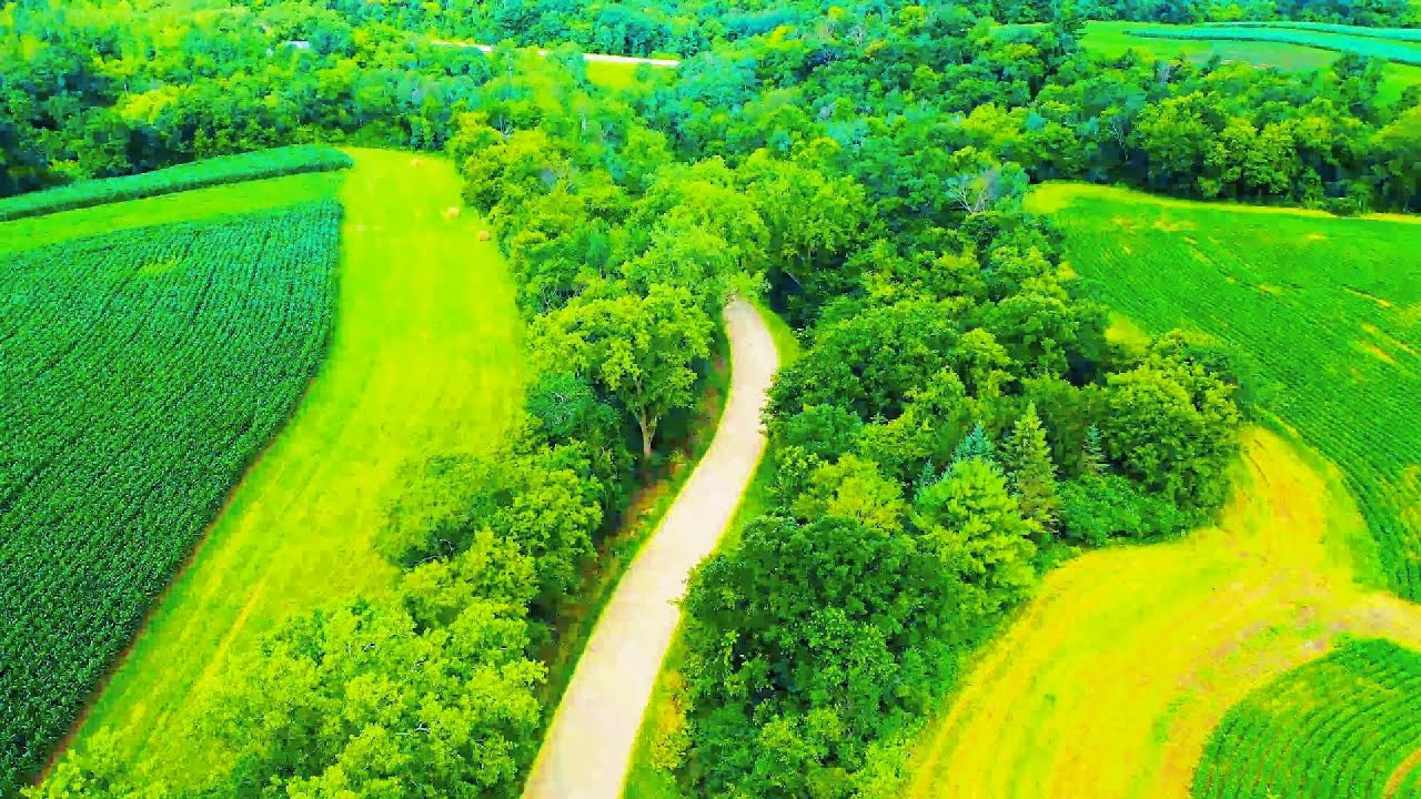 Relaxing with stunning farmlands with best music || And Pleases The ...