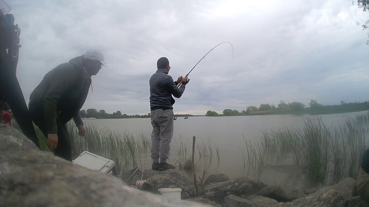 DunnVille Ontario Cat Fishing, Carp Fishing - YouTube