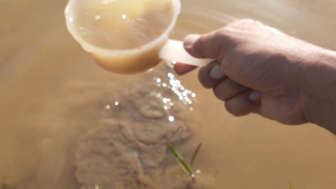 Mosquito larval collection, Pipetting and Dipping method. - YouTube