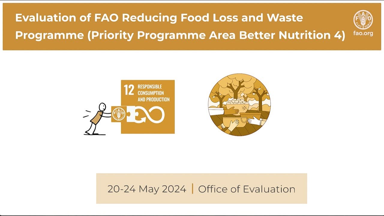 Evaluation of FAO Reducing Food Loss and Waste Programme - YouTube