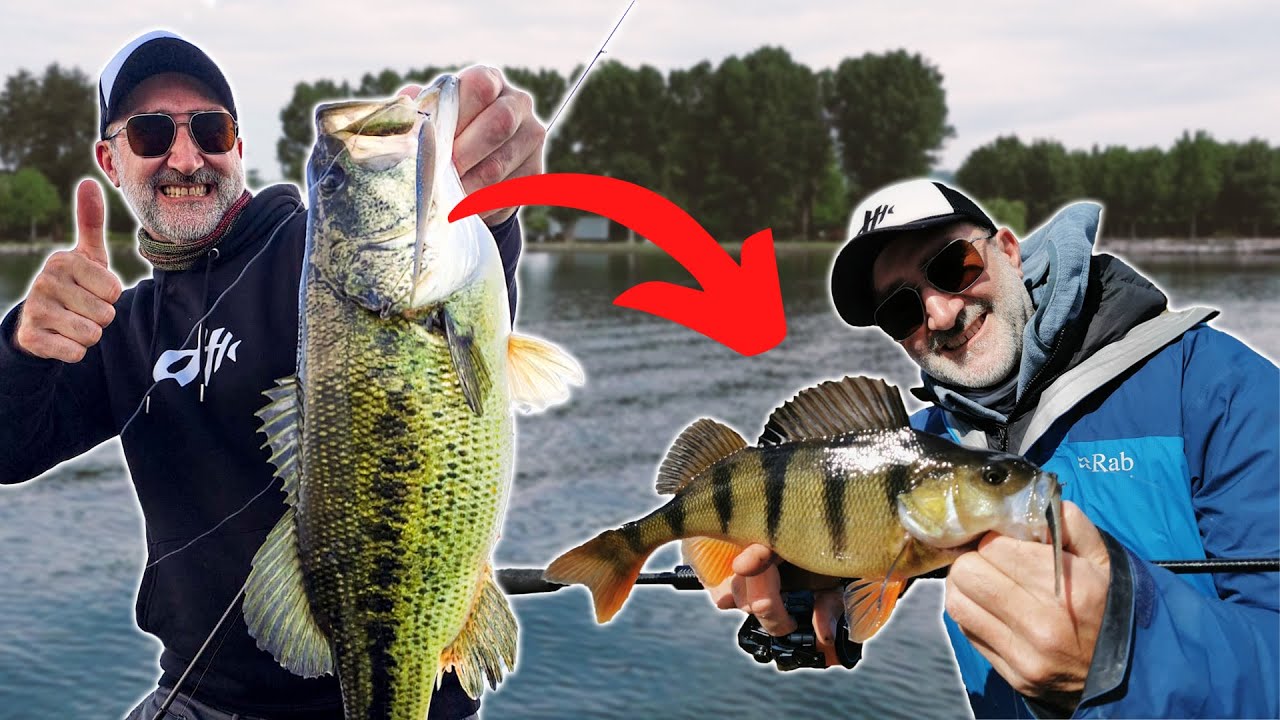 Neue Finesse-Methode: das WINNER-Rig! - YouTube