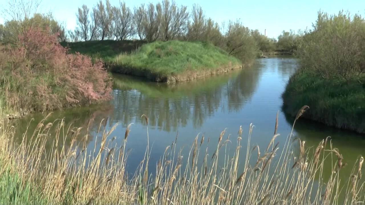DELTA DEL PO, Italy - Patrimonio Mondiale Unesco - YouTube