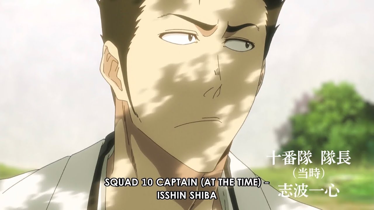 Ichigo's Father was The Former Squad 10th Captain at Soul Society ...
