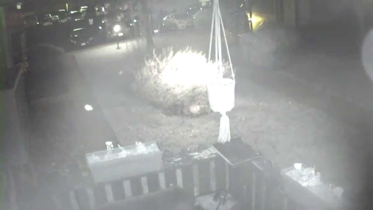 Security Camera Light Orb anomaly (Raw Video) 11/6/14 - YouTube