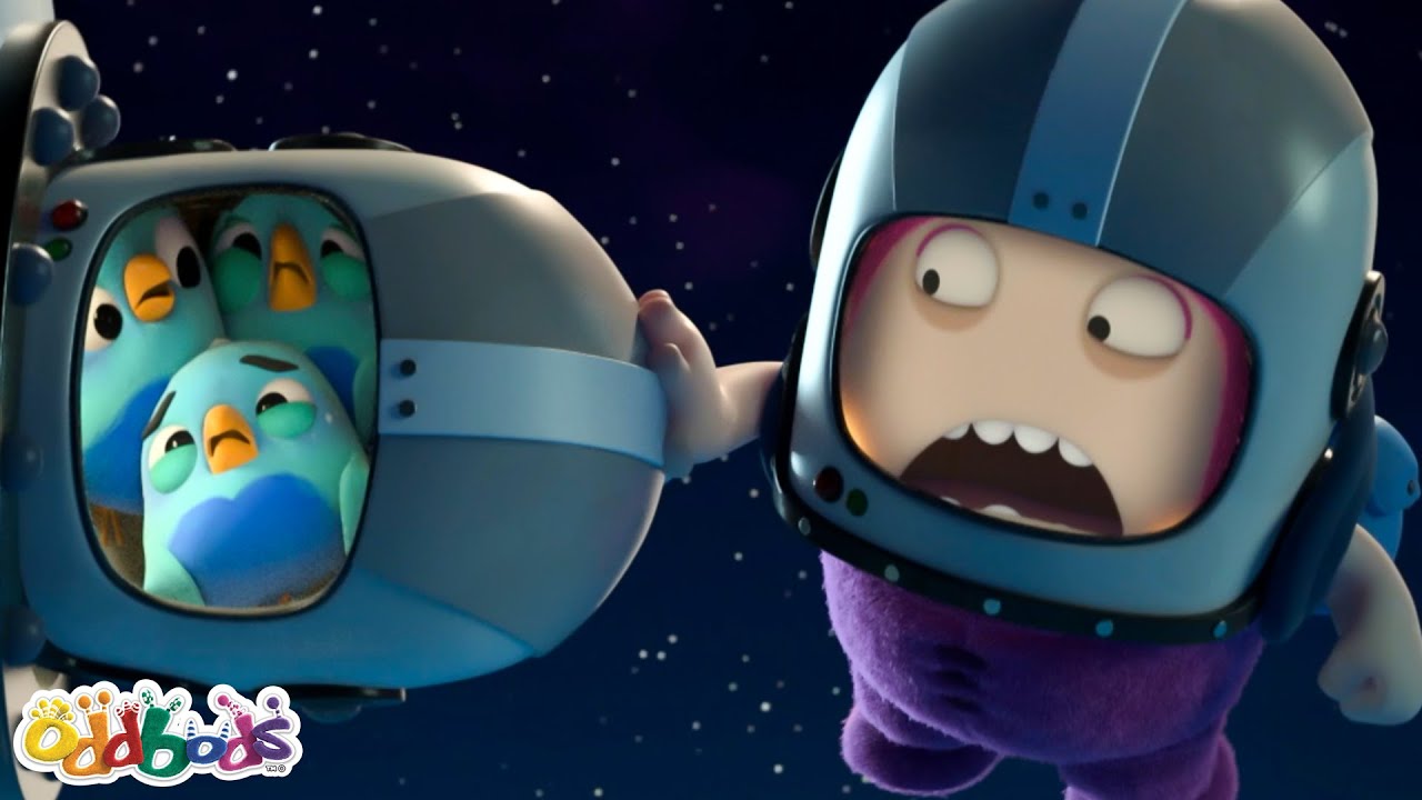 NEW! Pecking Order | @OddbodsCartoons | Funny Cartoons For Kids - YouTube