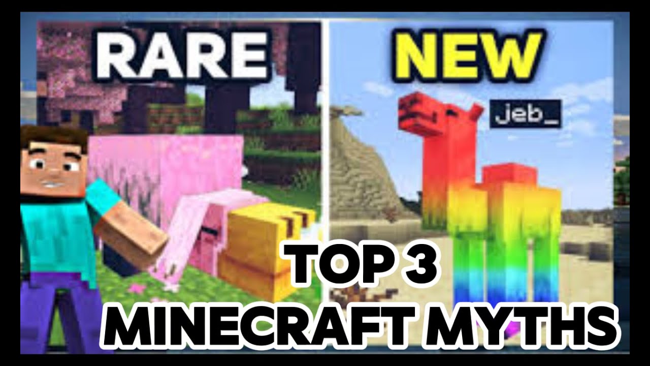 Top 3 Minecraft Myths|Minecraft Gameplay|Exclusive Myths|Zafir Warrior# ...