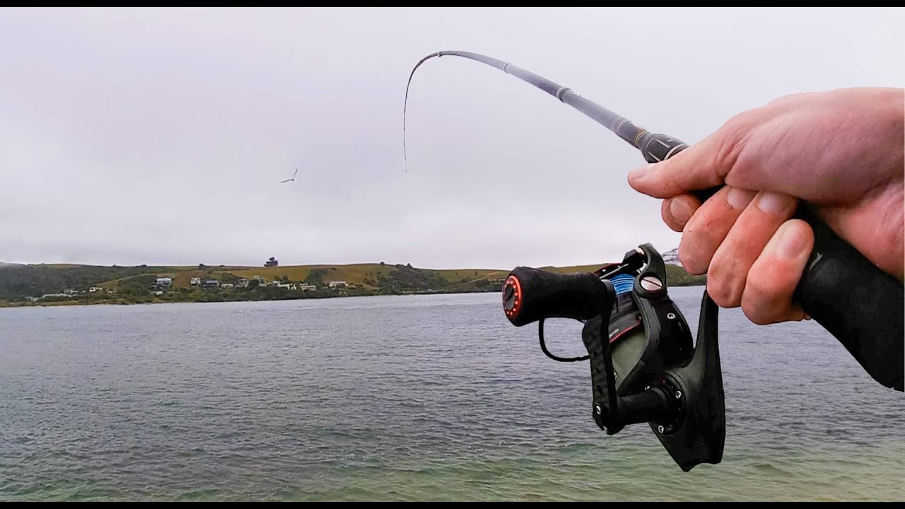 The Most Under Rated Light Tackle Fish! (Epic Battles) - YouTube