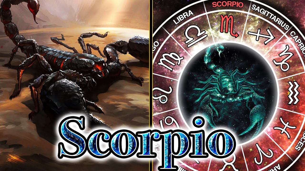 Scorpio Zodiac Astrology and Mythology: A Fusion of Ancient Wisdom ...