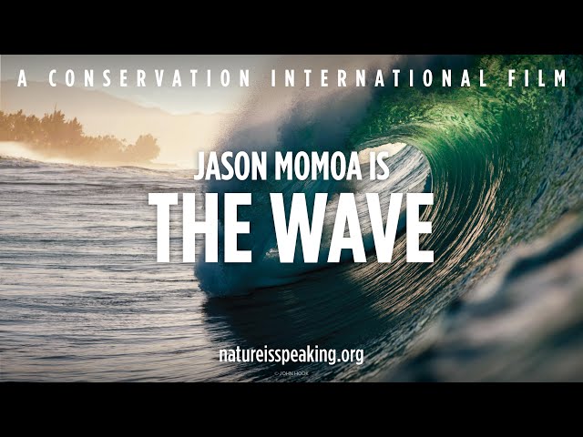 Nature is Speaking: Jason Momoa is T…: English ESL video lessons