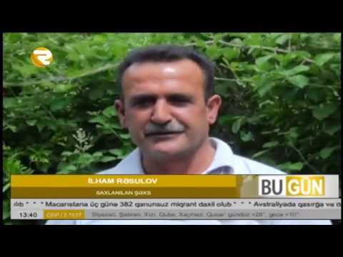 Neftçalada narkotik əməliyyatı   127 ədəd narkotik bitki aşkarlandı Region TV   Region TV
