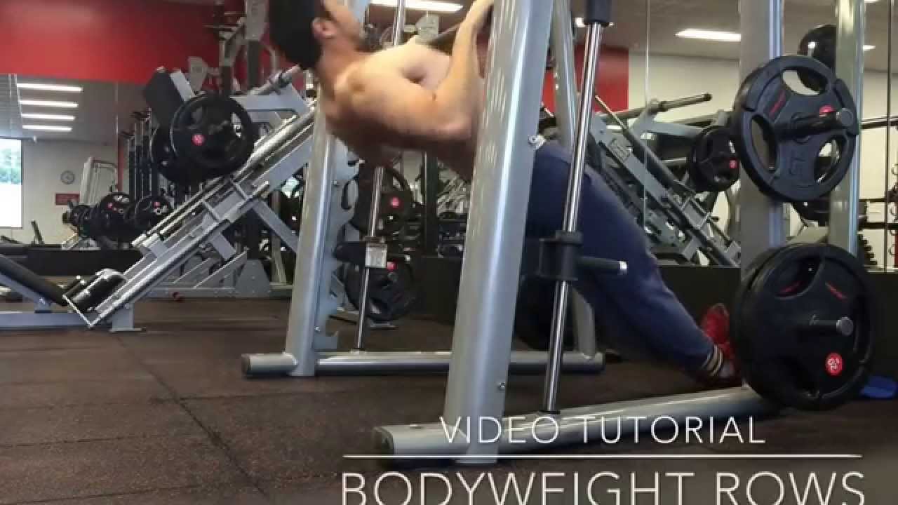 Video tutorial - BODYWEIGHT ROWS - YouTube