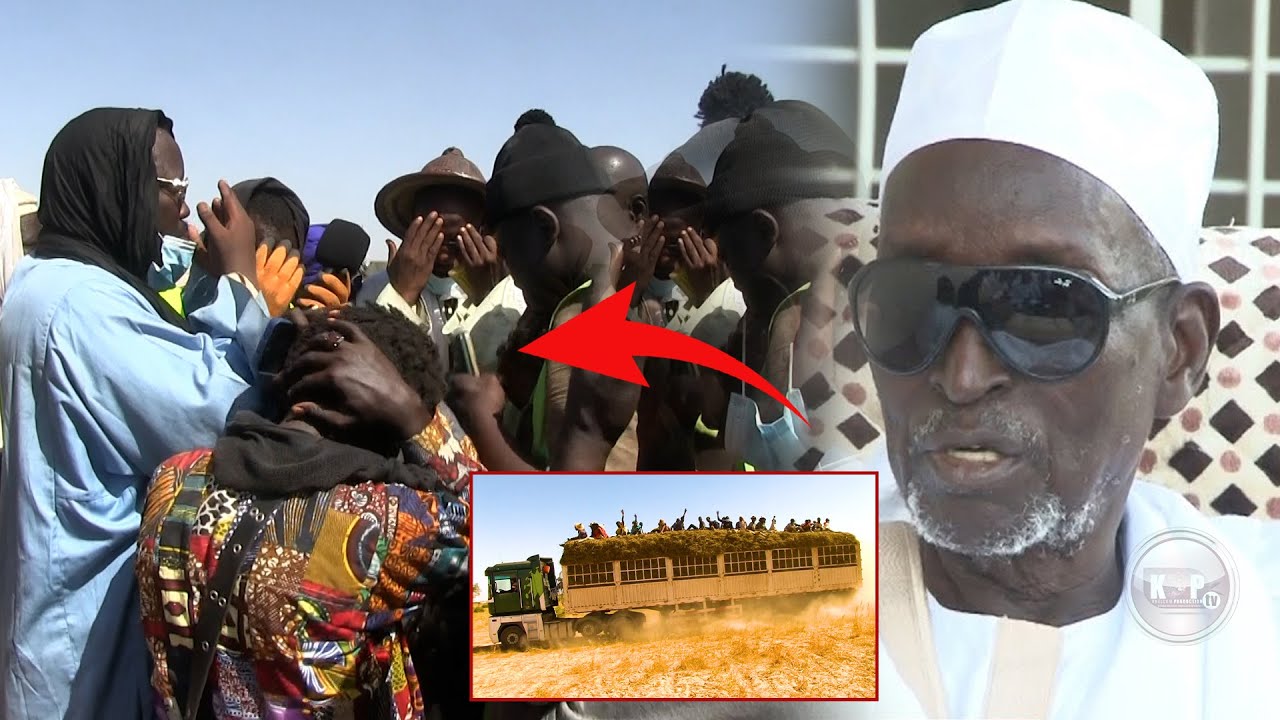 🔴Khelcom 2023 Kadouy Serigne Cheikh Saliou Mbathioum Guerté Khelcom et Darou Salam Maodo mouride ...