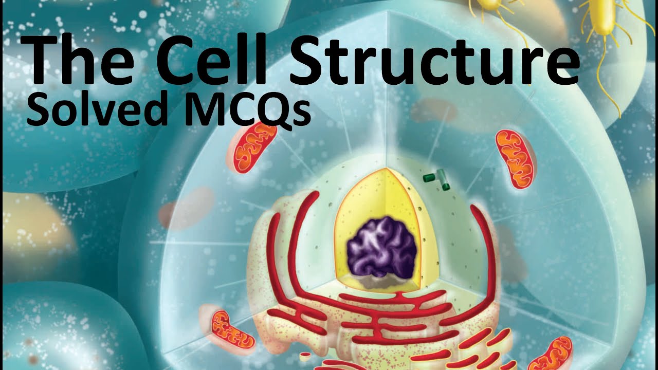 The Cell | Cell Structure and Function | MCQs P3 - YouTube