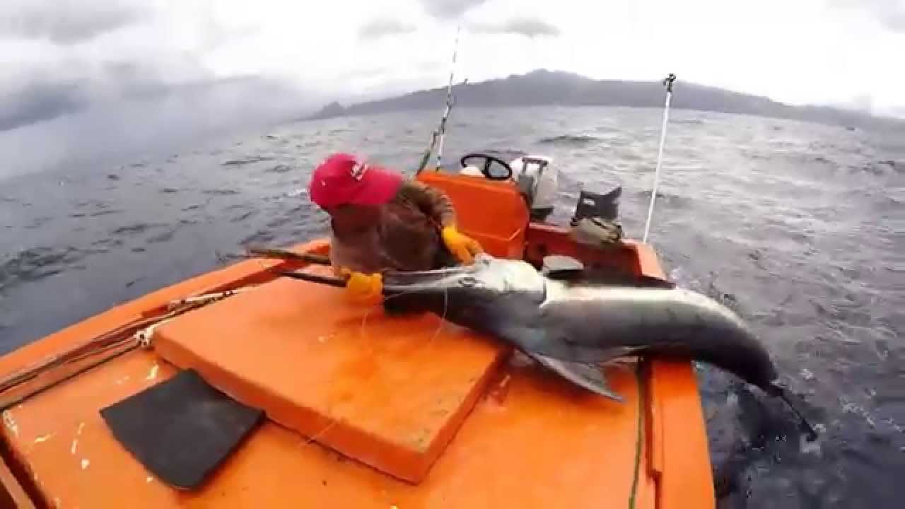 Blue Marlin catch, Dominica, Caribbean West Indies - YouTube