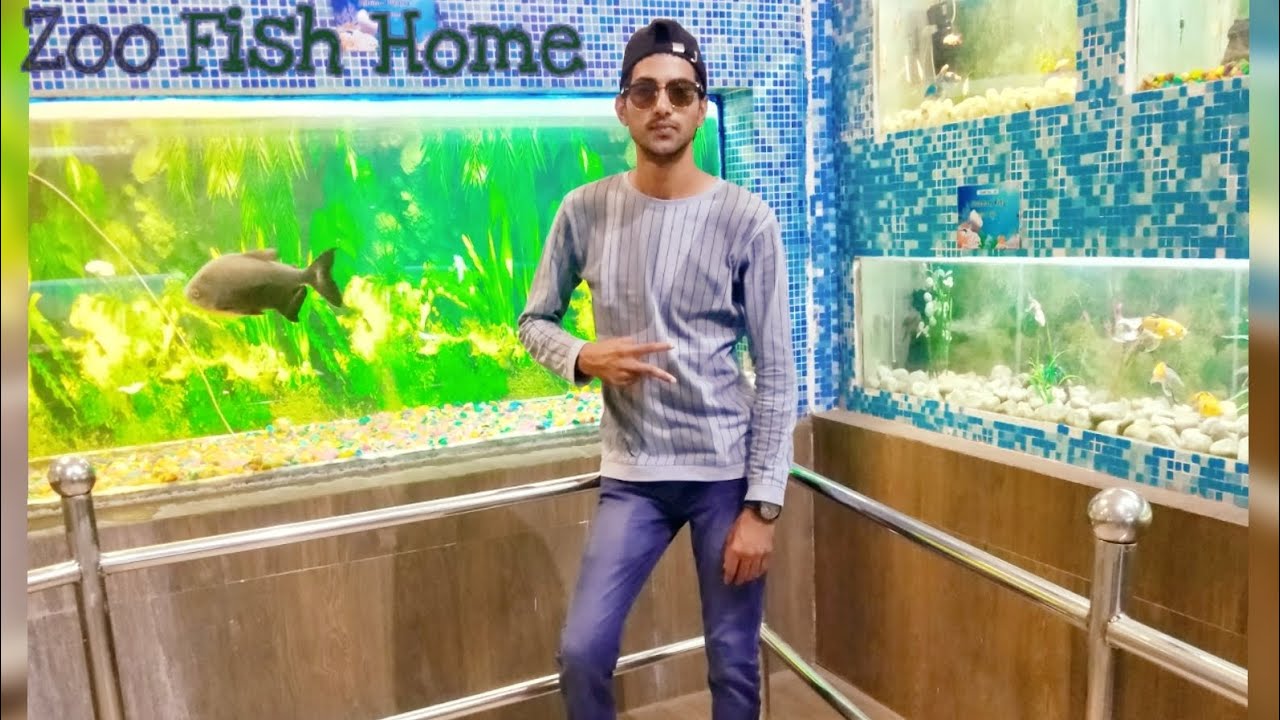 Patna Zoo Fish Home. - YouTube