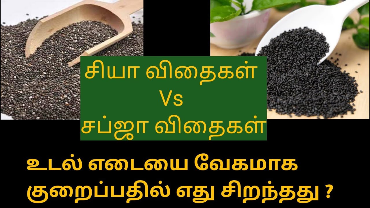 Basil Seeds Sabja Seeds Vs Chia Seeds In Tamil Which Is Better For basil-seeds-sabja-seeds-vs-chia-seeds-in-tamil-which-is-better-for