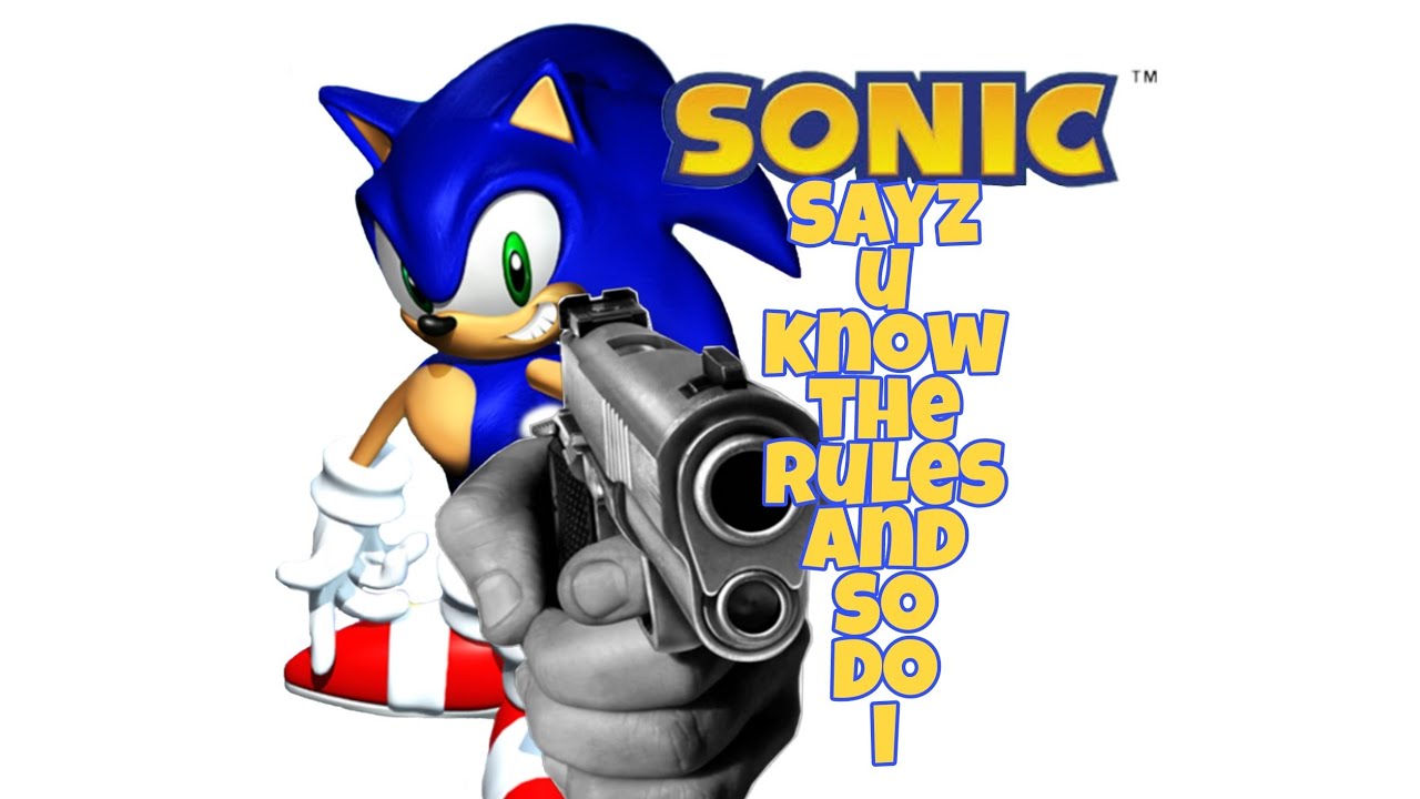 Sonic sayz u know the rules and so do i say goodbye - YouTube