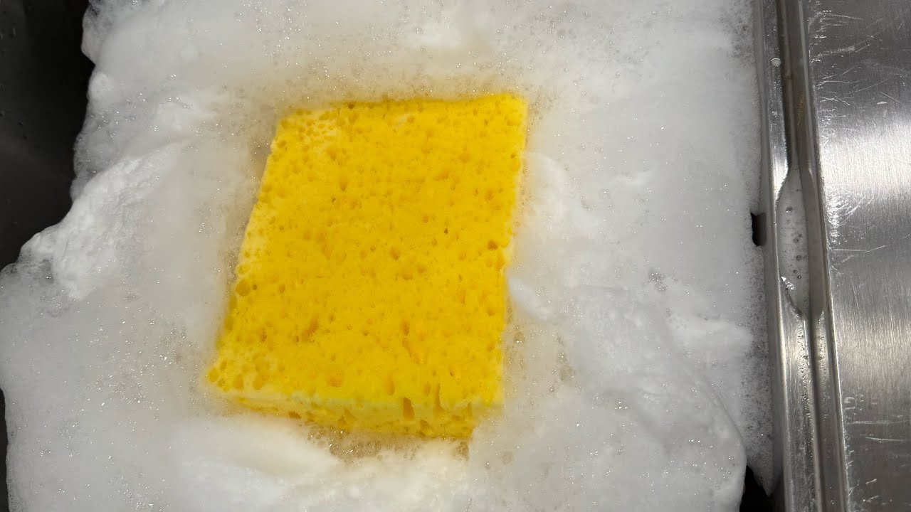 Squeaky and Sudsy sponge 🧽 squeeze - YouTube