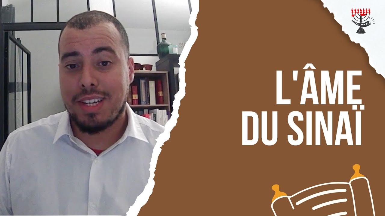 L'âme du Sinaï | Parasha Behar & Be'houkotai | Steven - YouTube
