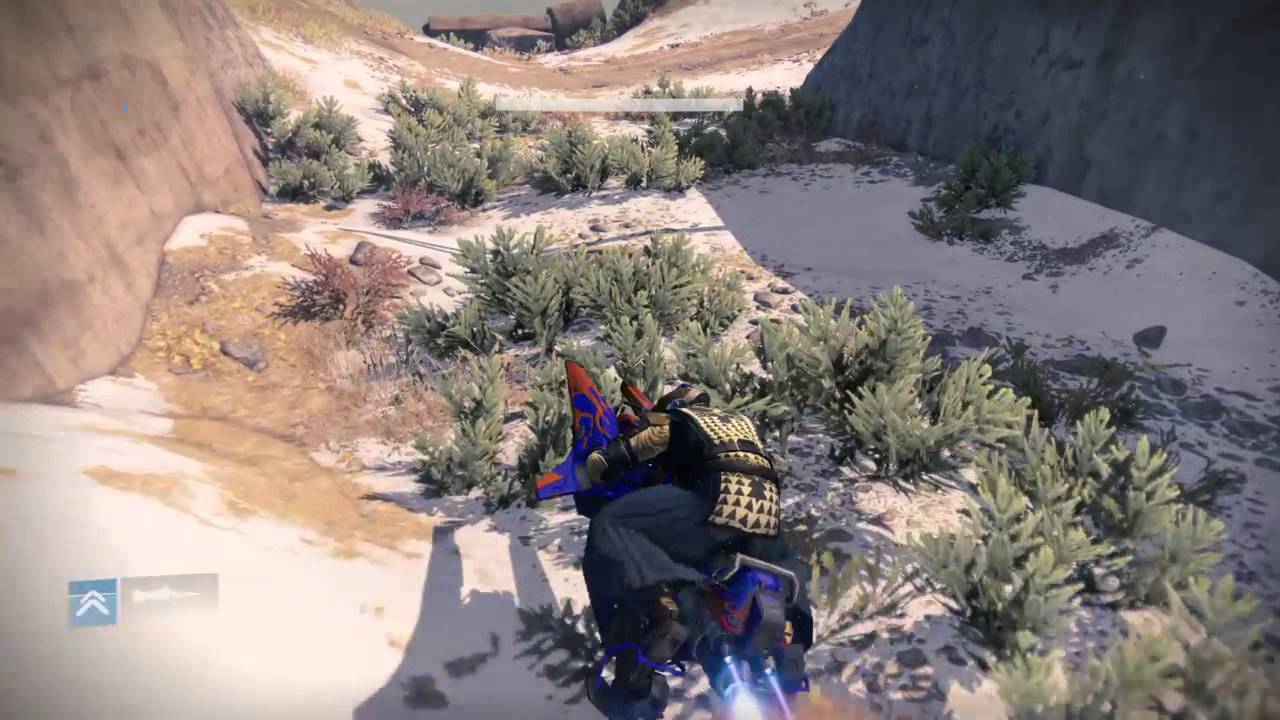 Sparrow gone wild - YouTube