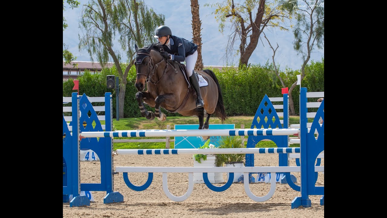 Grandor takes 4th in the 1.30m JO Tbird 8/2021 - YouTube