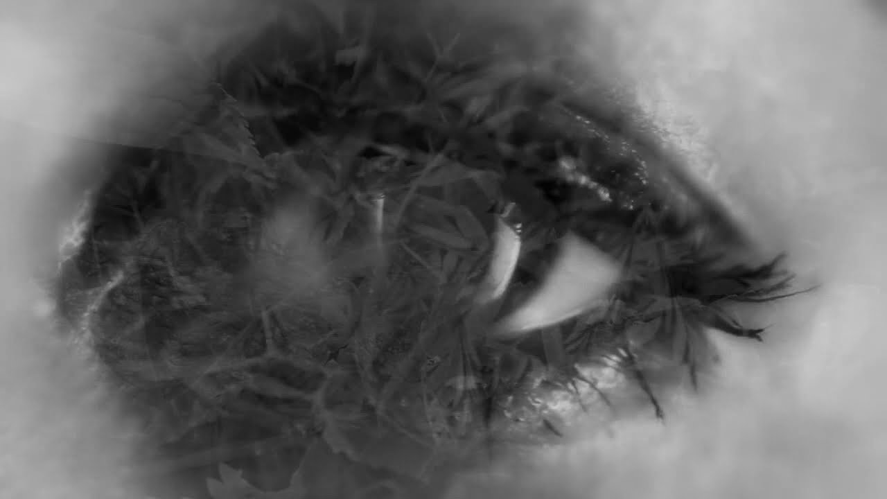 'Gasoline' ft: Ariel Levitan & StM - YouTube