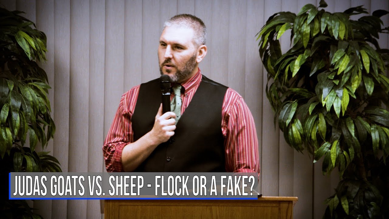 Judas Goats 🐐 Vs Sheep 🐏 - Flock Or A Fake - YouTube