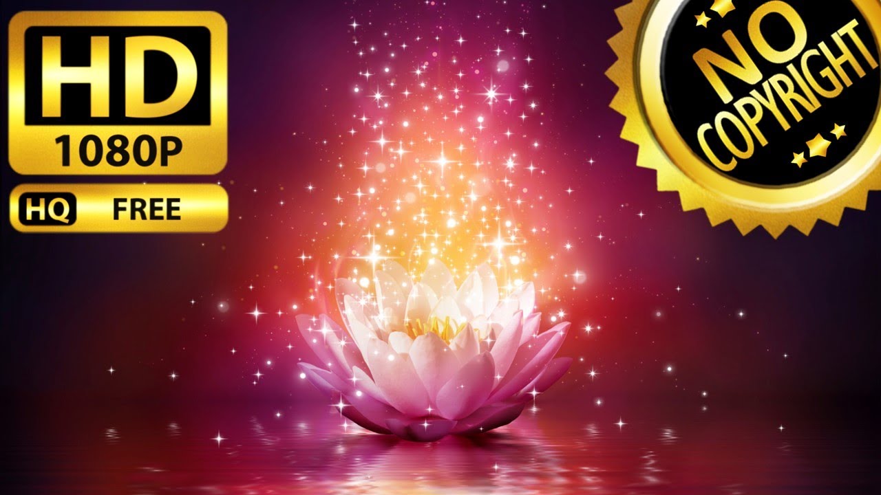 [HD] 10 Lotus Thumbnails for Relaxing Music Videos | FREE | HIGH ...