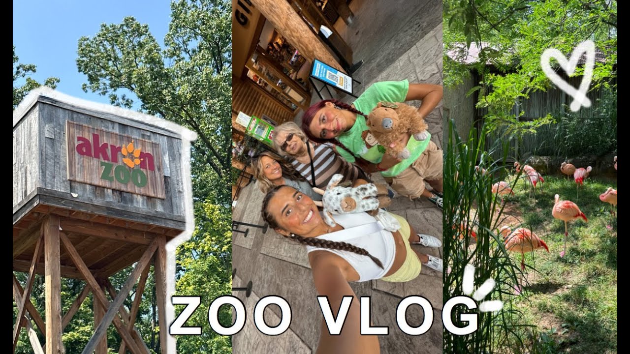 ZOO VLOG🦁🎋 (haven't been to the zoo since I was 12) - YouTube