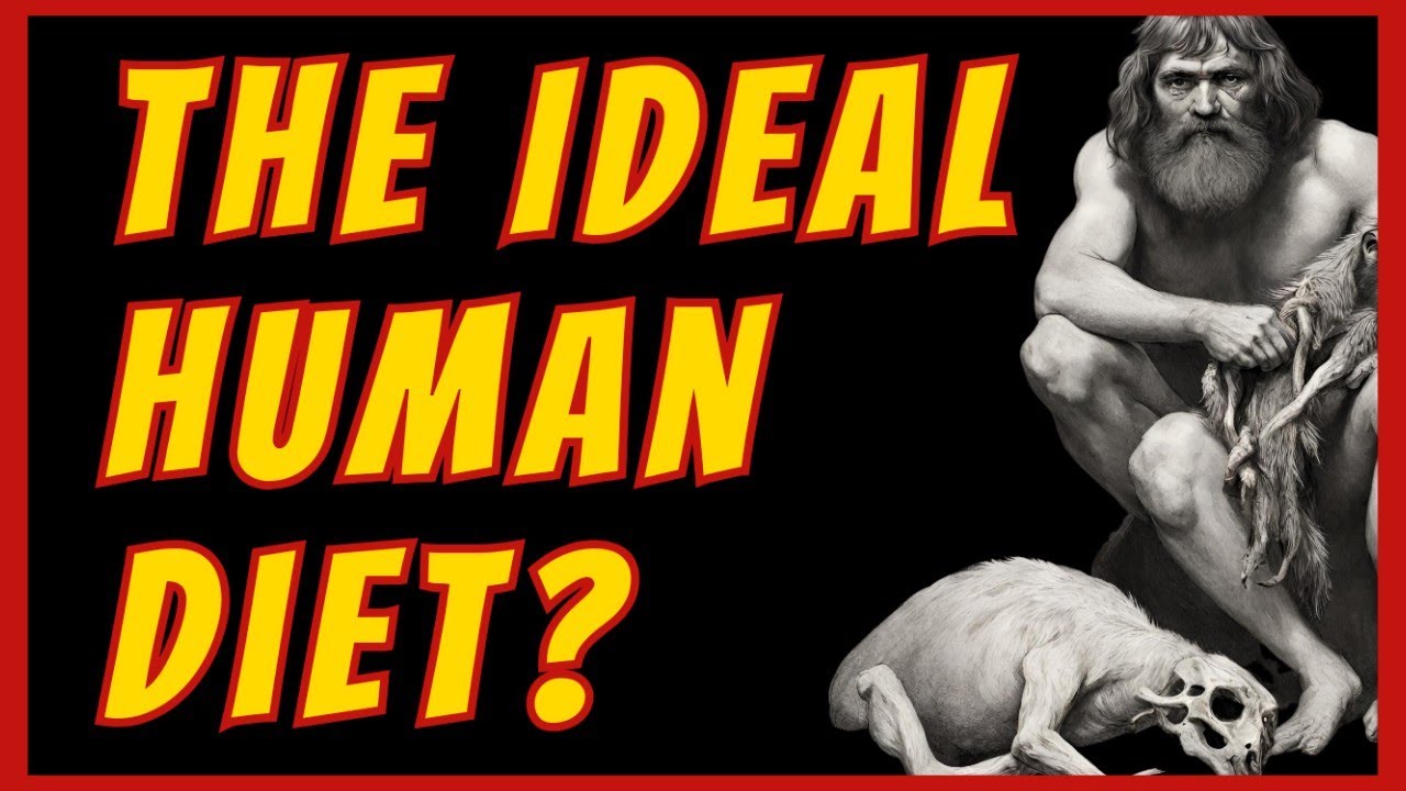 What is the proper human diet? @HarrySerpanos - YouTube