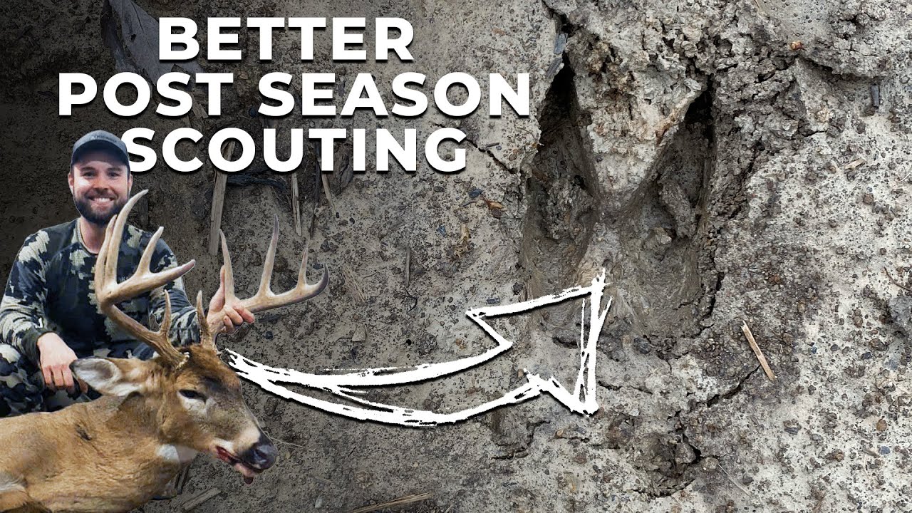 Dissecting Deer Sign for Better Post Season Scouting: Rubs, Scrapes ...