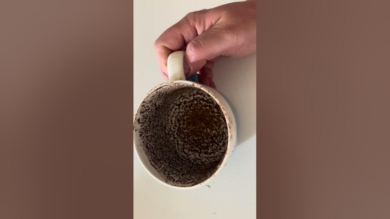 RAC LUNA MARTIE 2024 - citire in zat de cafea horoscop - talmacit in cafea - YouTube