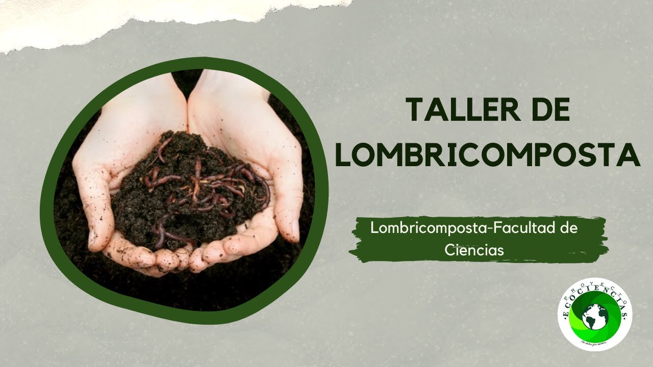 Taller de Lombricomposta | Proyecto Ecociencias - YouTube