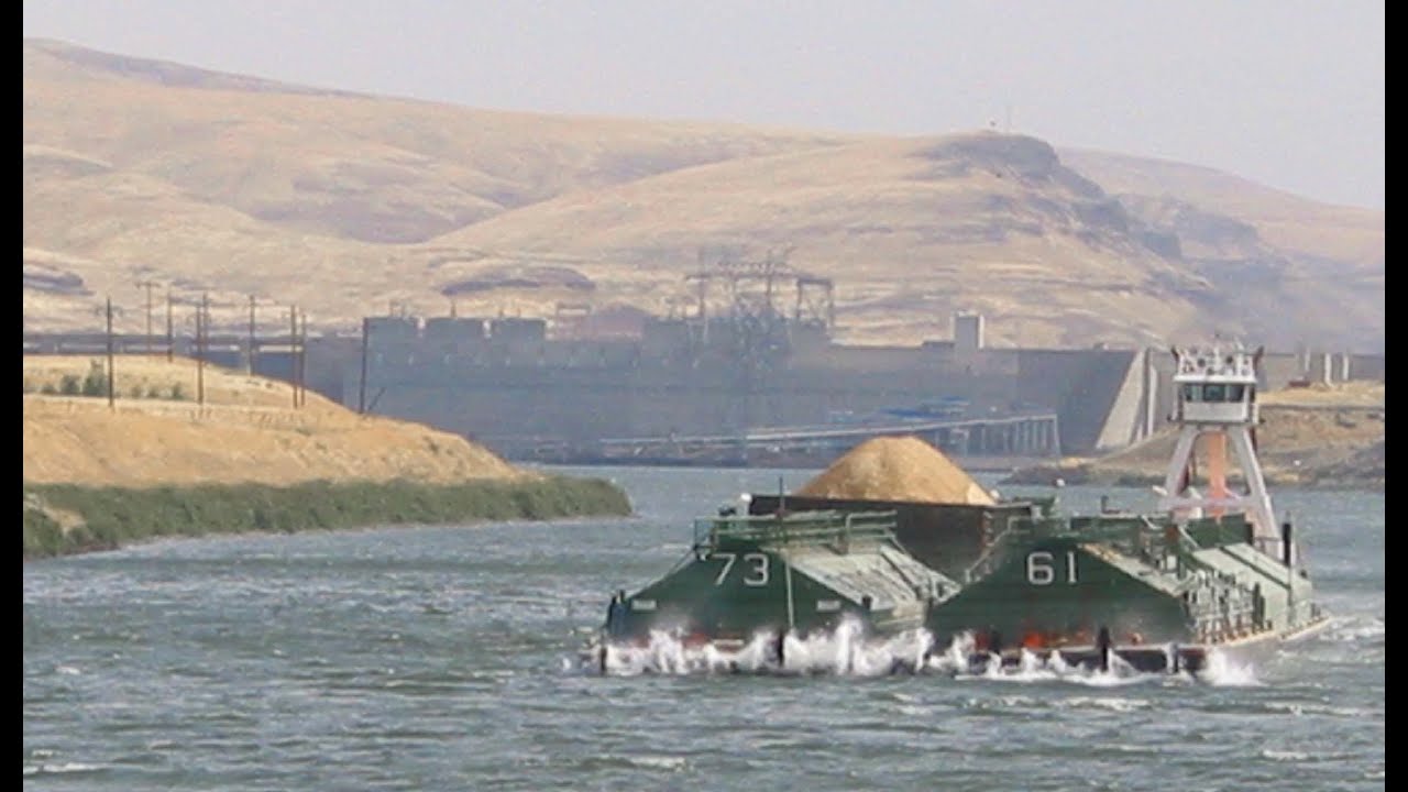 Columbia River System Operations Draft Environmental Impact Statement ...