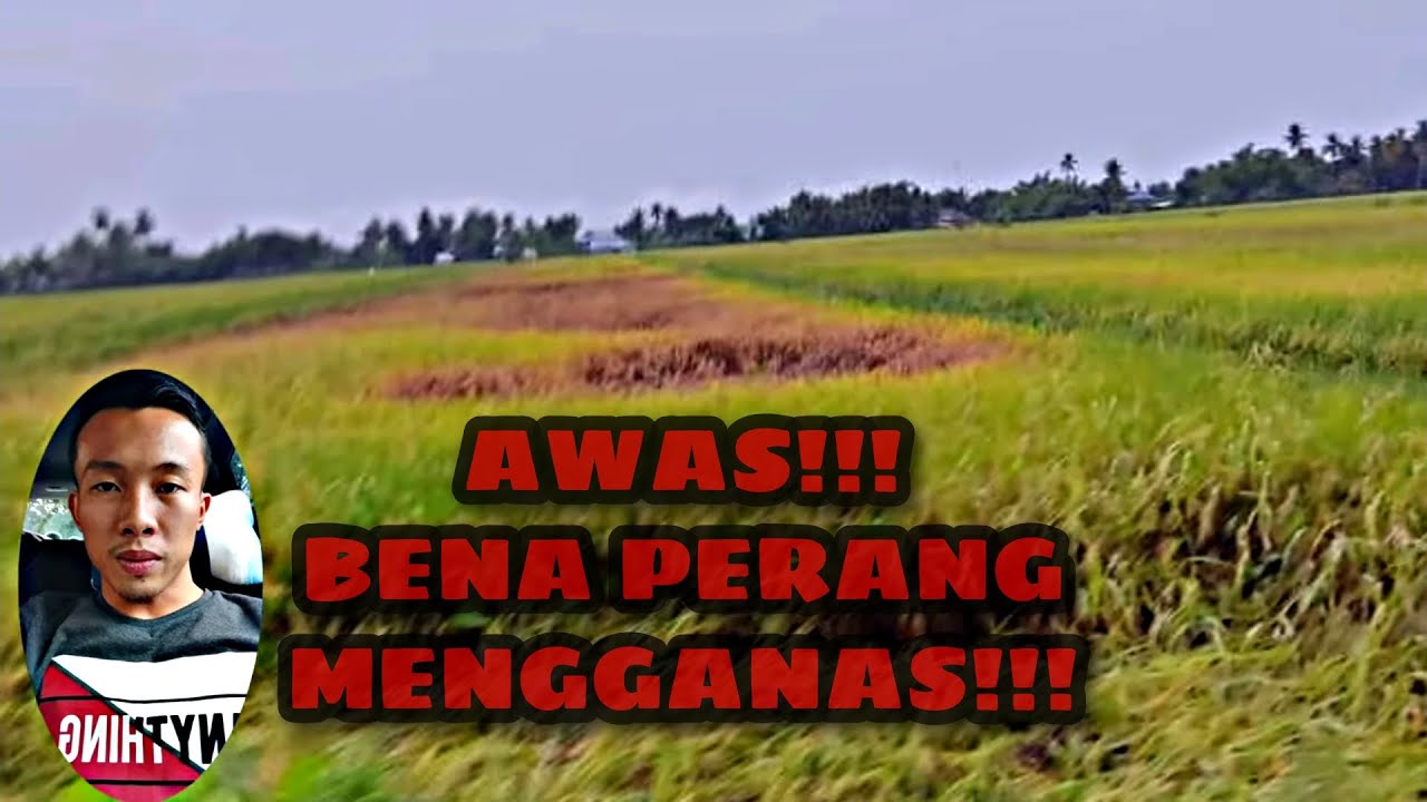 RACUN BENA PERANG [PLENUM] | PAM VICTA - YouTube