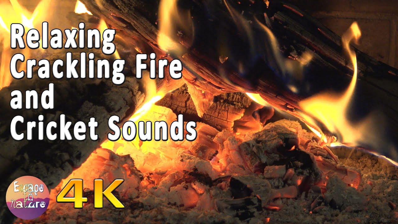 4K Relaxing crackling fire and cricket sounds 🔥 Burning fireplace ...
