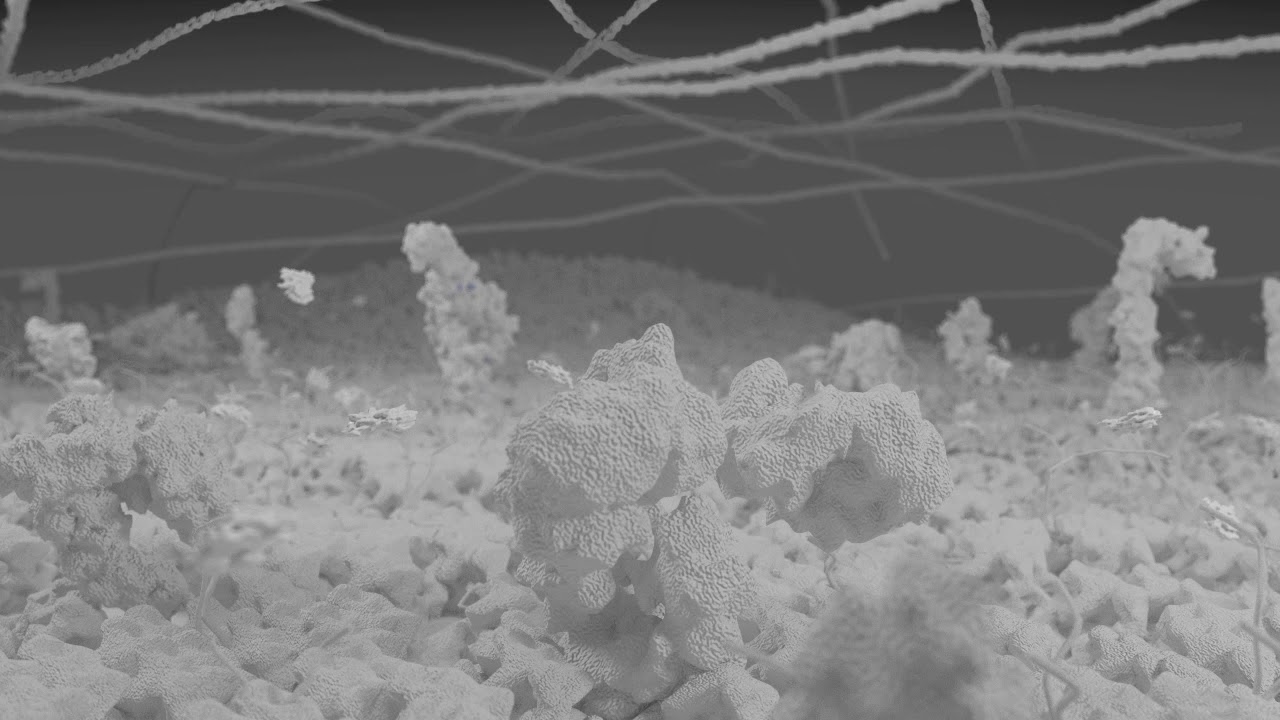 Cell Surface - YouTube