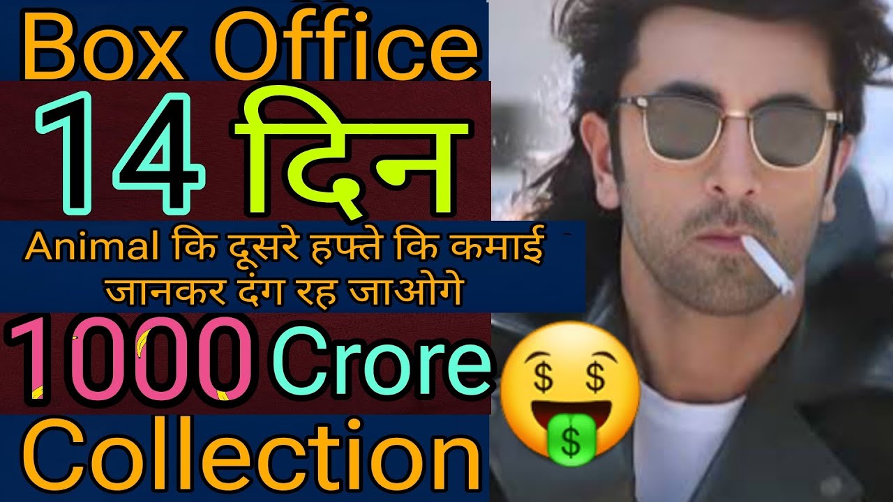 Animal Box Office Collection | Animal 2nd Week Collection - YouTube