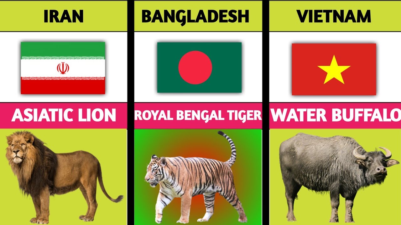 National Animals From Different Countries|Data World Info - YouTube