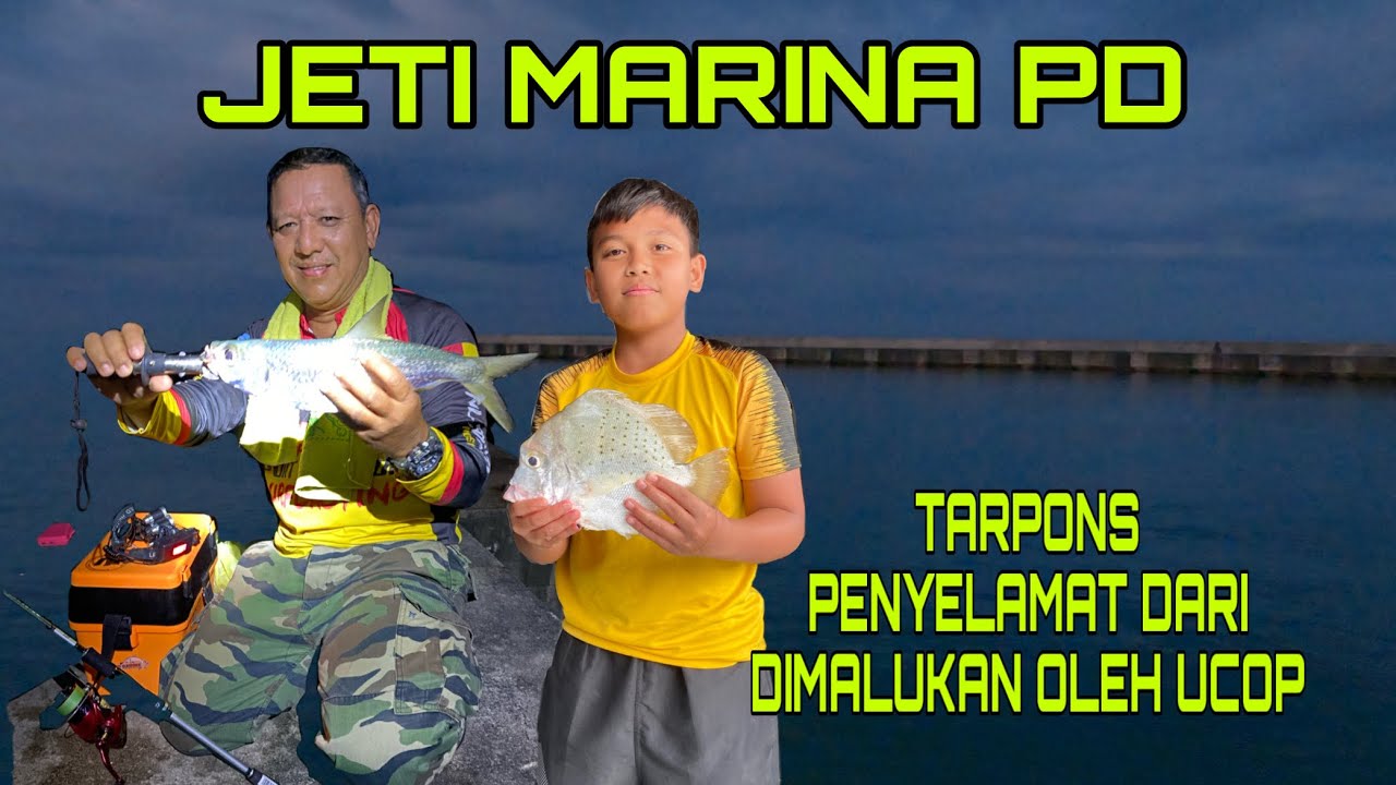 JETI BATU MARINA PD IKAN TARPONS PENYELAMAT DIMALUKAN UCOP - YouTube