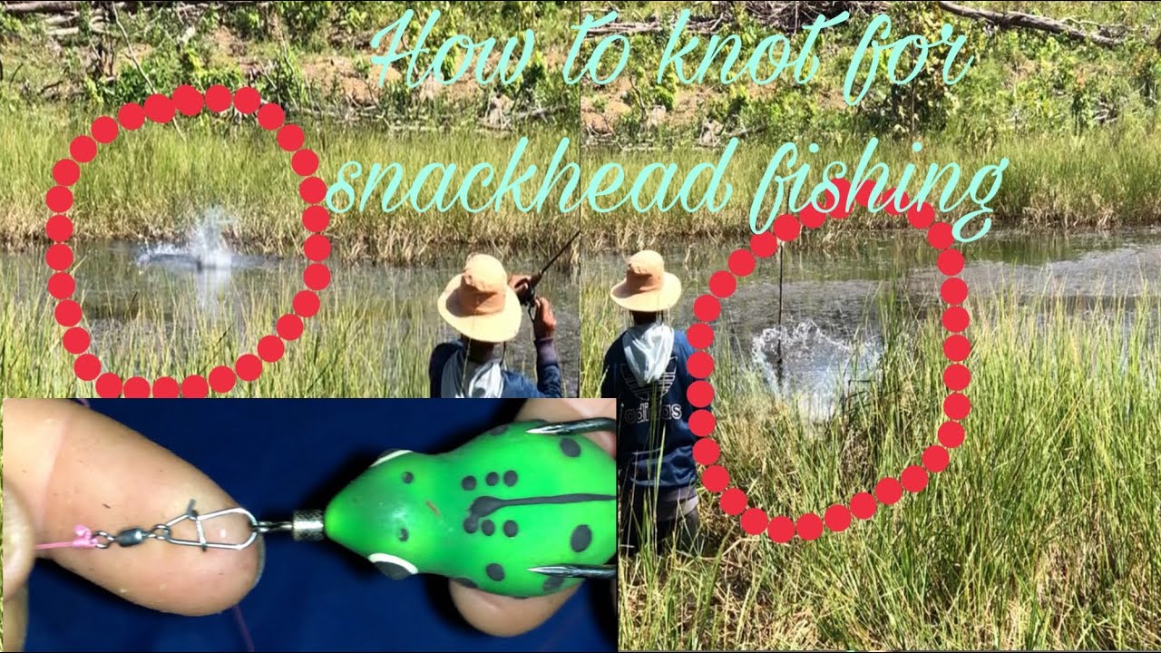 How to knot for snackhead fishing/fishing lures ...