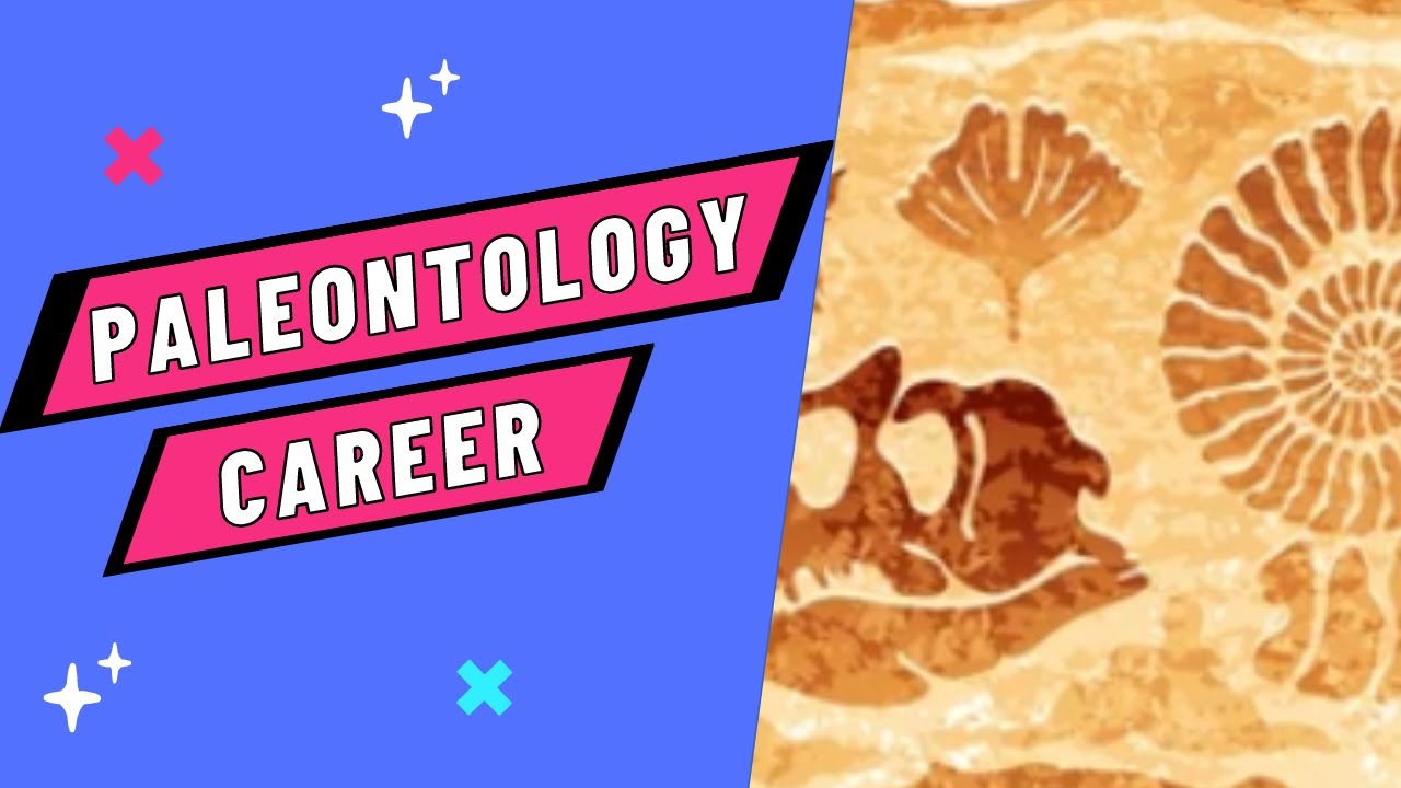 How to enter paleontology as a career in geology? - YouTube