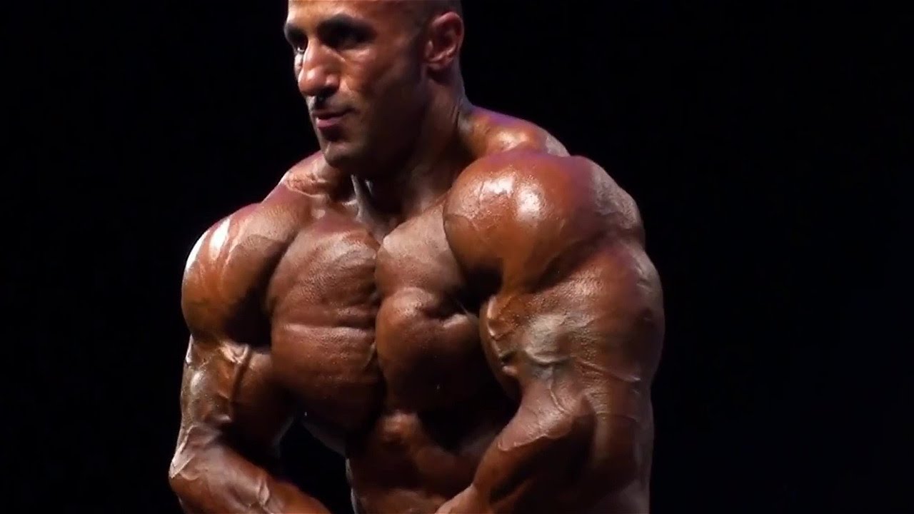 Lebanese IFBB Pro bodybuilder Mohammad Bannout - IFBB Nordic Pro 2013 ...